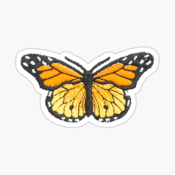 Brandy Melville Patch Gifts & Merchandise | Redbubble