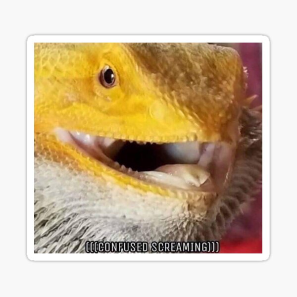 "lizard meme" Sticker for Sale by itskalymydudes | Redbubble