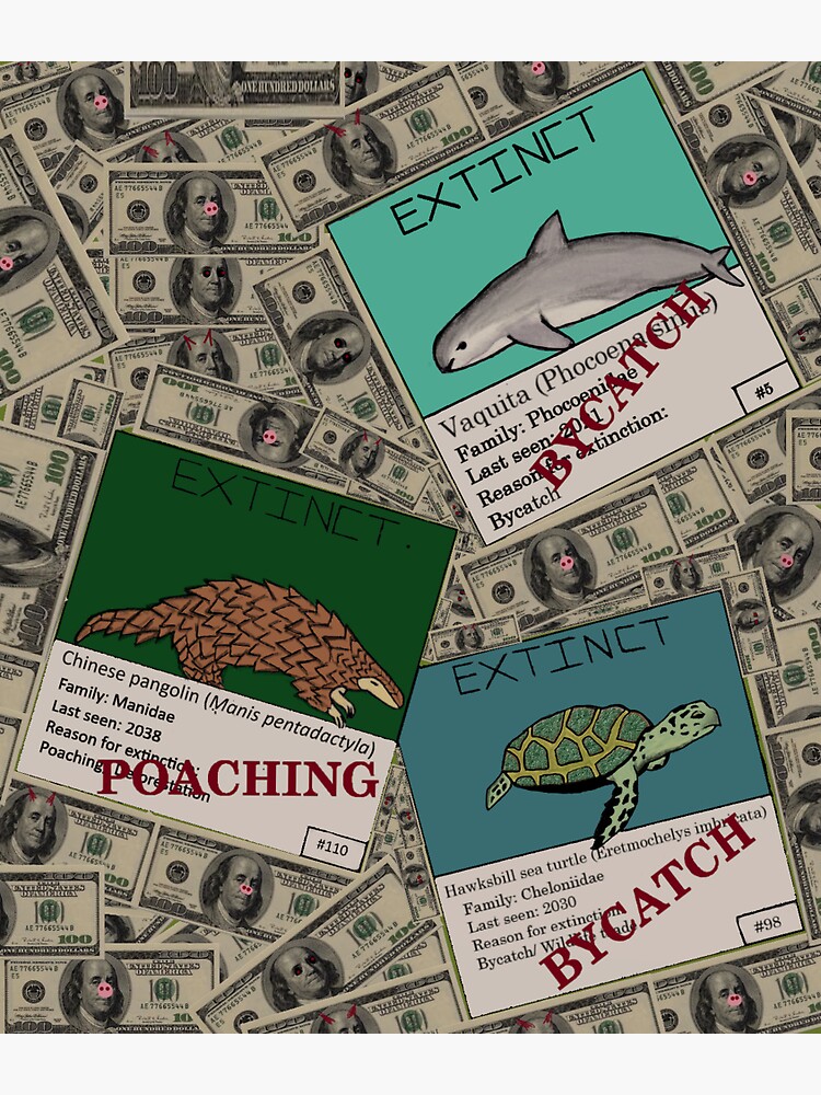 "Anti-poaching/ bycatch" Sticker for Sale by lynb2020 | Redbubble