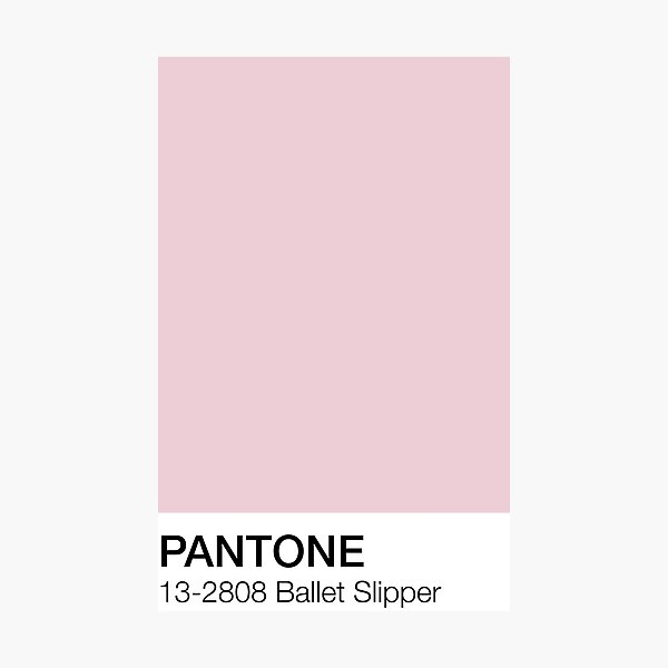 Pantonee Gifts & Merchandise for Sale | Redbubble