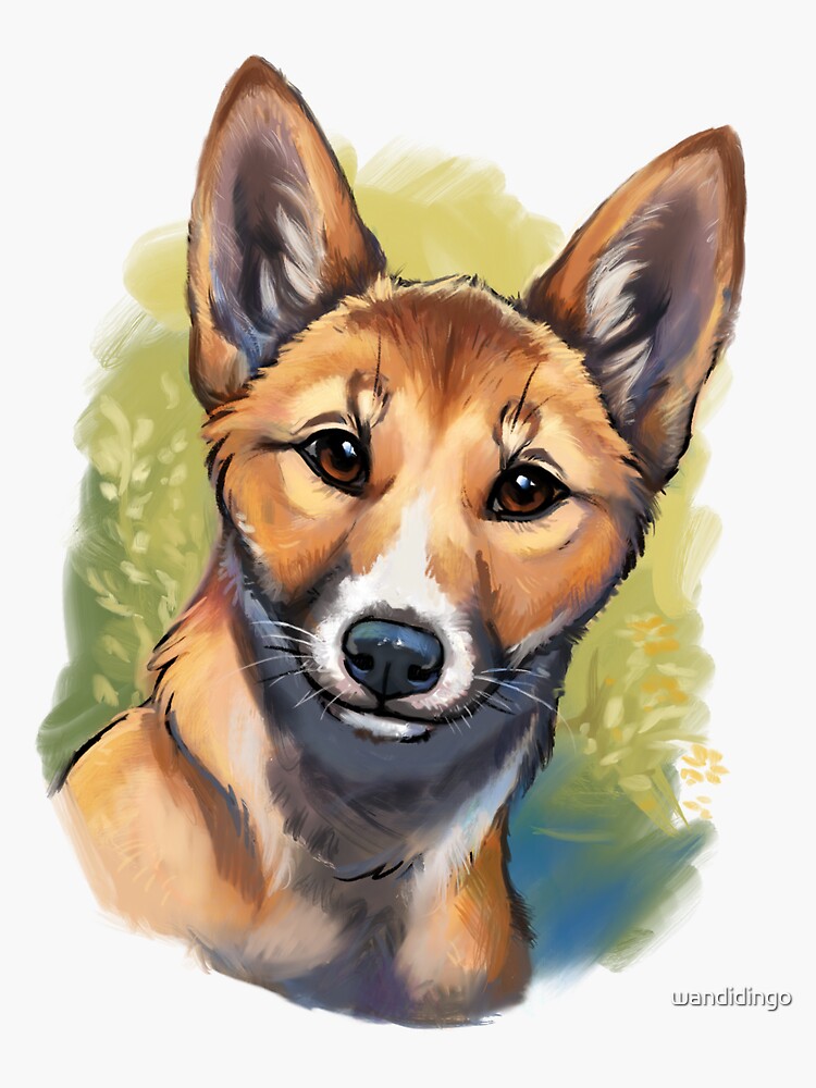 "Wandi_Dingo by @sabiillustrates" Sticker for Sale by wandidingo ...