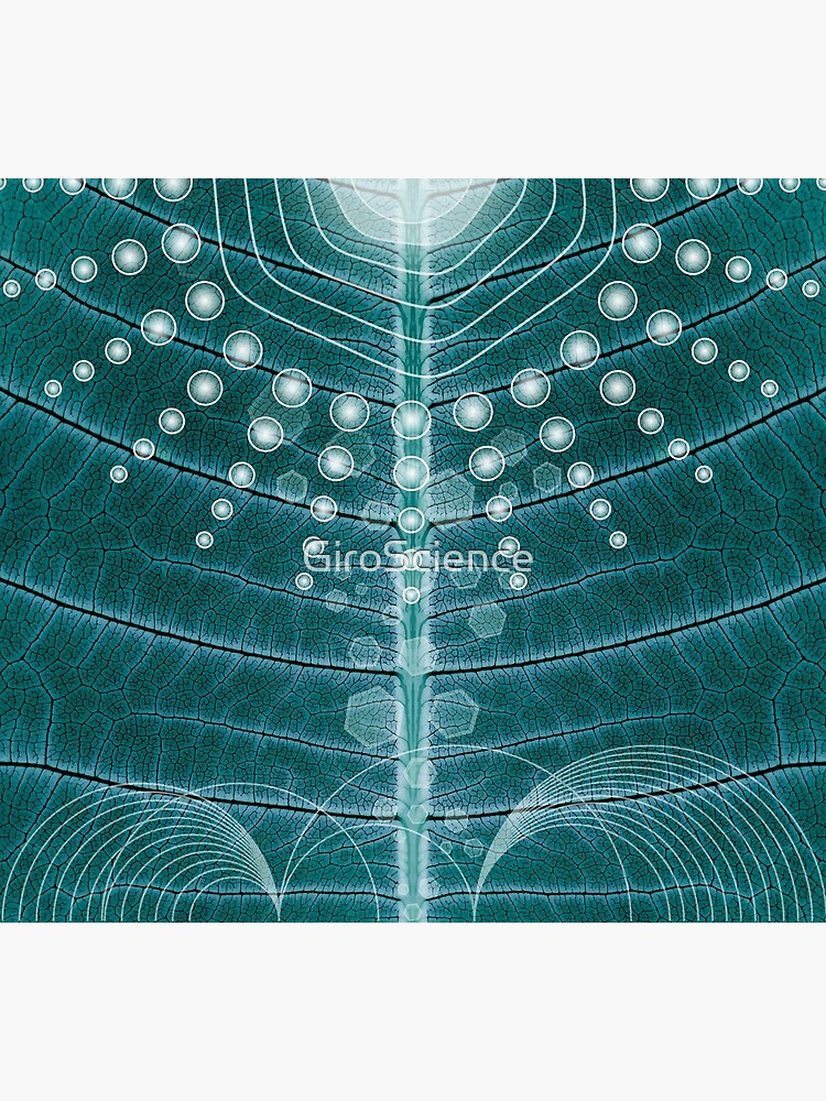 "Synthetic Photosynthesis - Biomimetics" Poster by GiroScience | Redbubble