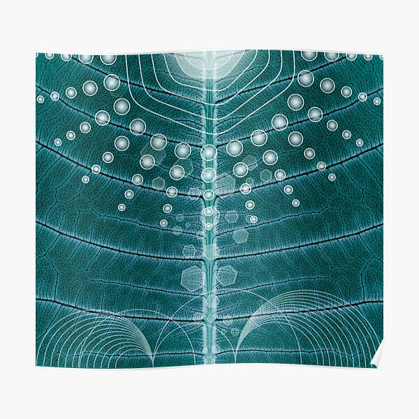 "Synthetic Photosynthesis - Biomimetics" Poster by GiroScience | Redbubble