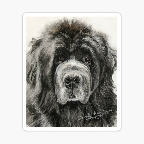 "Newfie" Sticker for Sale by Cazbaht | Redbubble