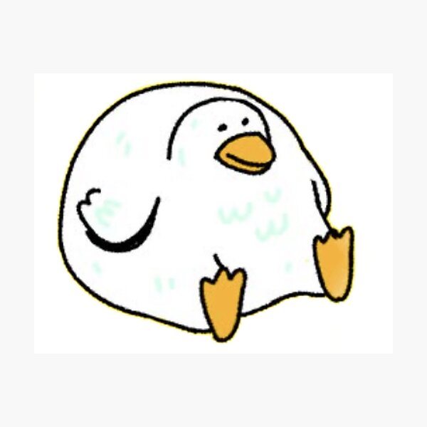 Chonky Duck Gifts & Merchandise | Redbubble