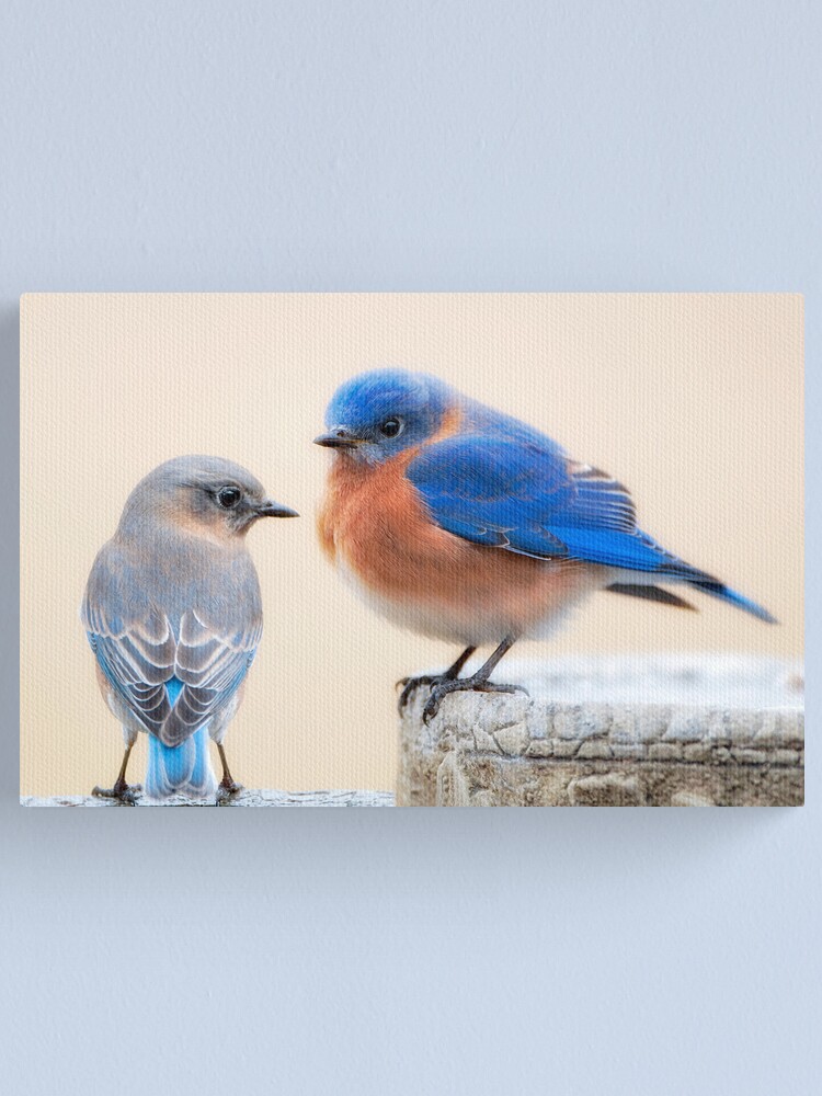 "Cute Couple" Canvas Print for Sale by Miracles | Redbubble