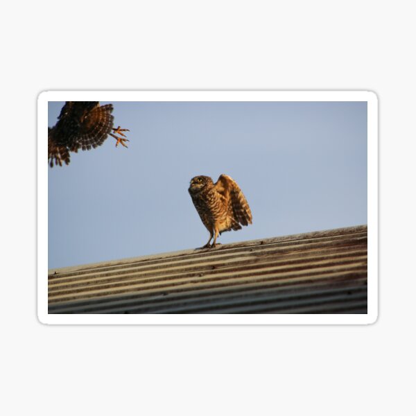 "Fight or Flight" Sticker by Chrayla | Redbubble