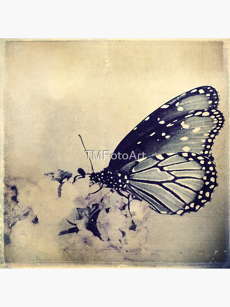 "Librada" Poster for Sale by pmistric | Redbubble