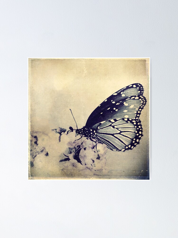 "Librada" Poster for Sale by pmistric | Redbubble