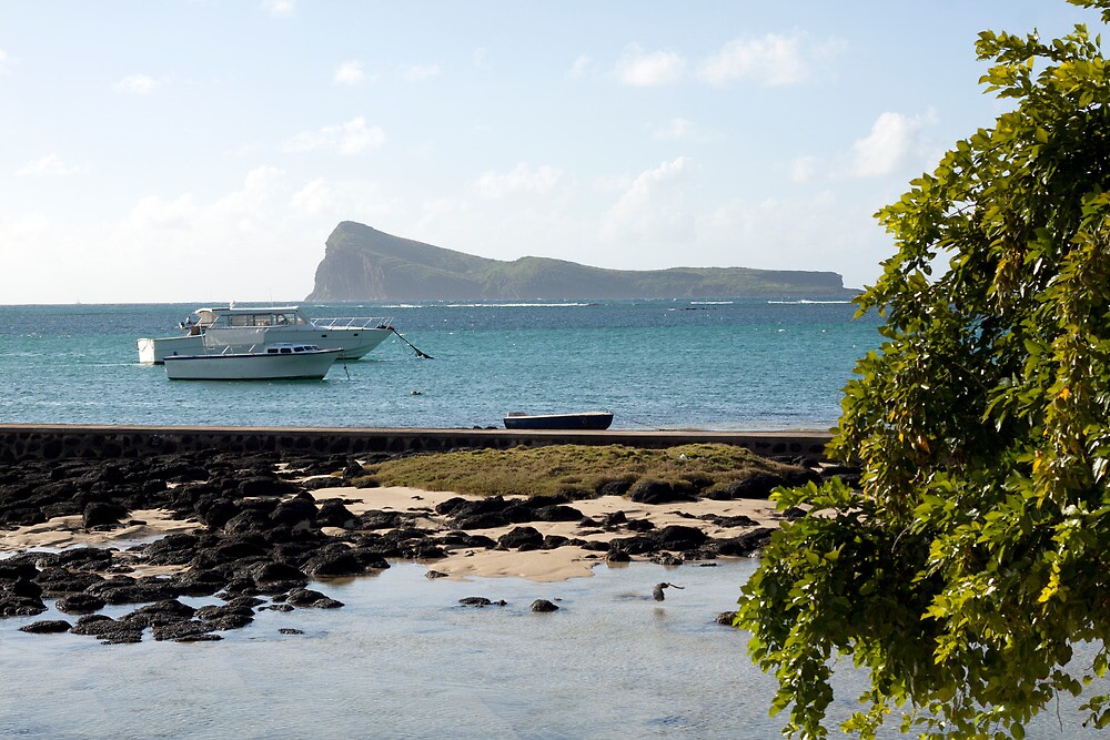 "Gunners Coin (Coin de Mire) Mauritius" by rajeshbac | Redbubble