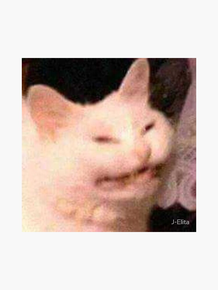 "Cursed cat meme" Sticker for Sale by J-Elita | Redbubble