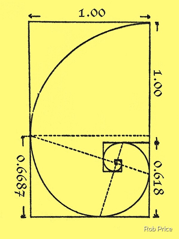 "The Golden Spiral" by Rob Price | Redbubble