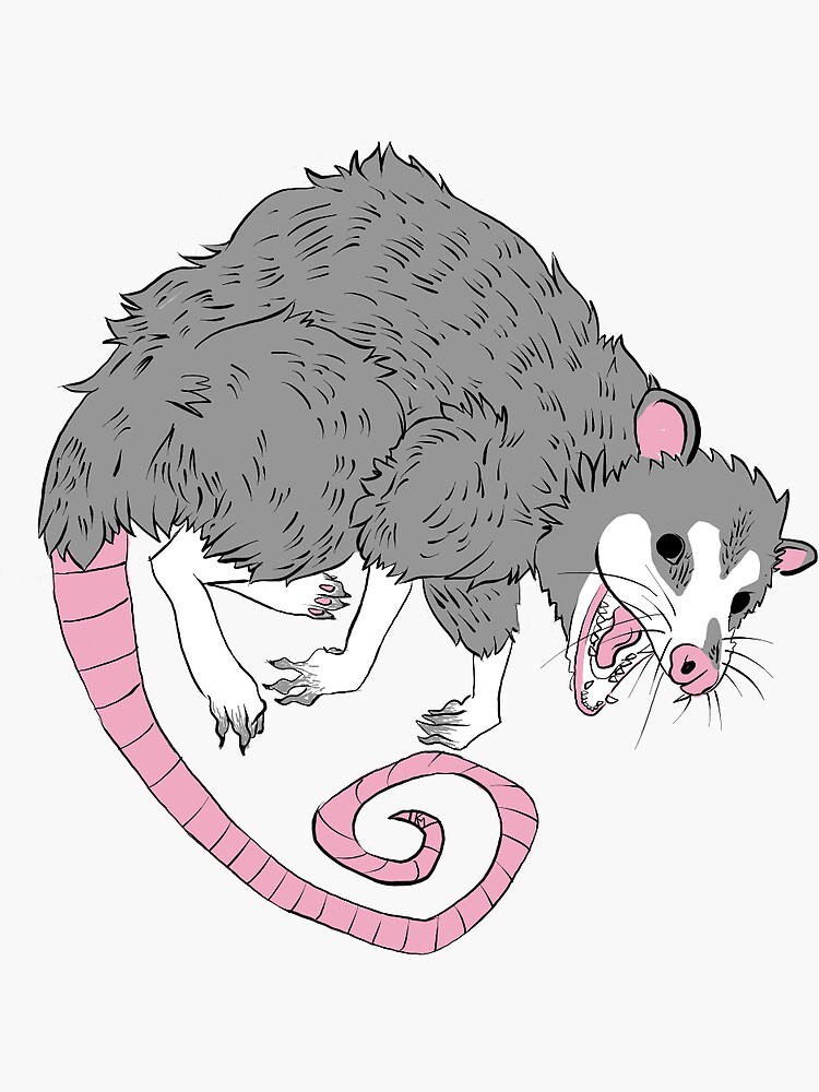 "screaming possum " Sticker for Sale by kyli3ren | Redbubble