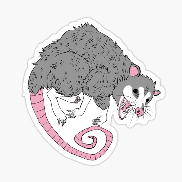 "screaming possum " Sticker for Sale by kyli3ren | Redbubble