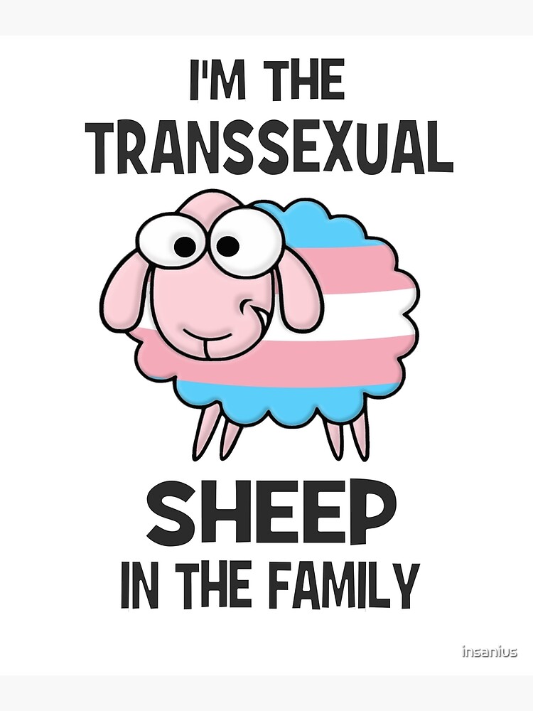 "Transexual Sheep in the Family Transgender Quote Shirt Funny ...
