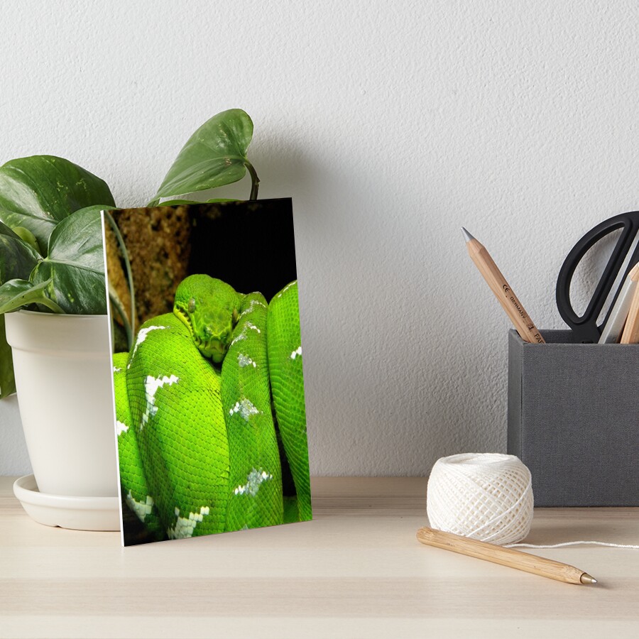 "Slither Hither" Art Board Print by NatureRaven | Redbubble