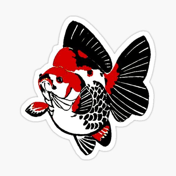 "Ryukin Tri Color Goldfish" Sticker by Nosnah | Redbubble