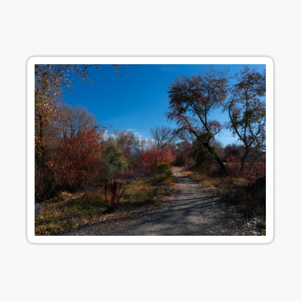 "The Bike Path" Sticker by lenslens | Redbubble