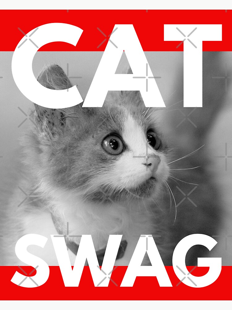 "CAT SWAG Red and White Photo Design 012" Sticker for Sale by ...