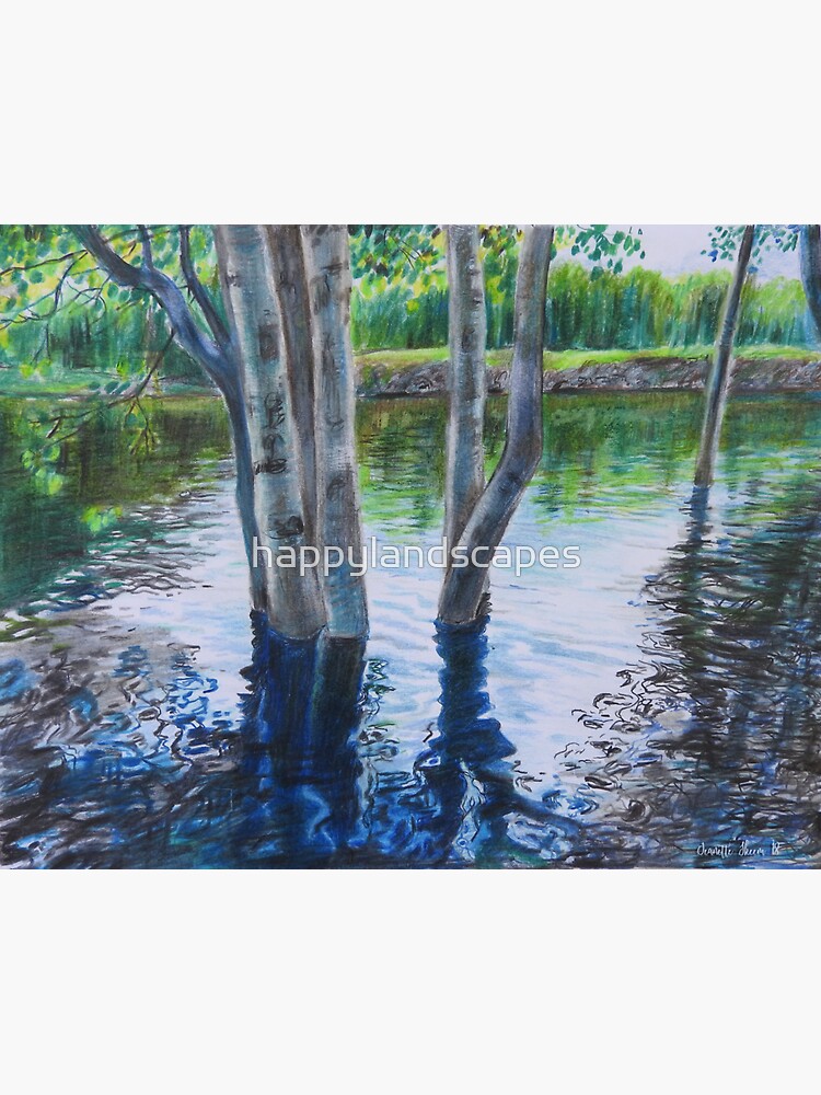 "Quaking aspen in water, colored pencil drawing" Sticker for Sale by ...