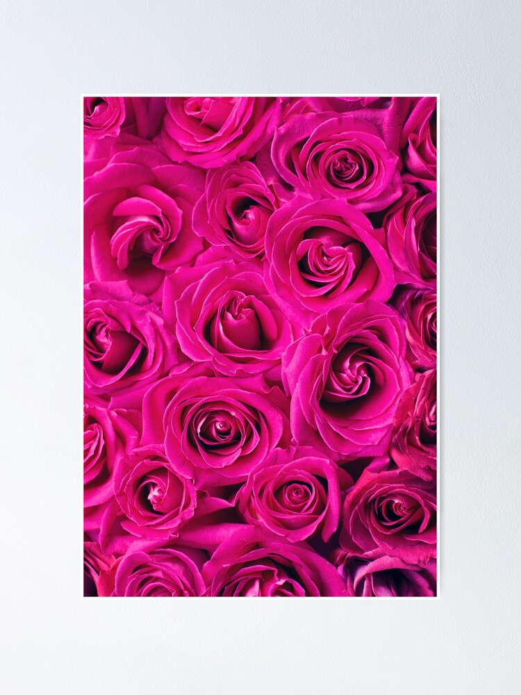 "Pink Rose Print, Rose Wall Art, Rose Printable, Floral Bedroom Decor ...