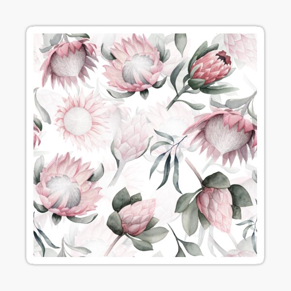 "Hand Painted Protea Watercolor Pattern Blush" Sticker for Sale by ...