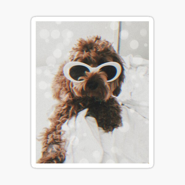 "Today was RUFF" Sticker for Sale by arana711 | Redbubble