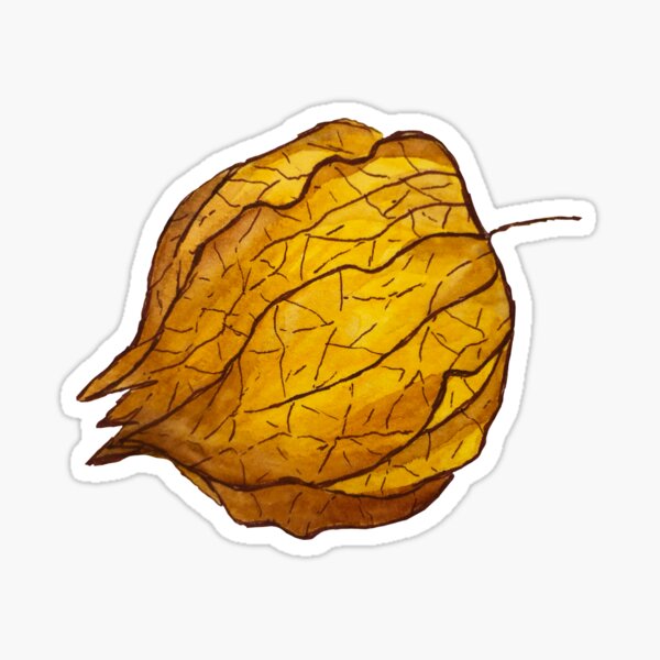 Physalis Stickers | Redbubble