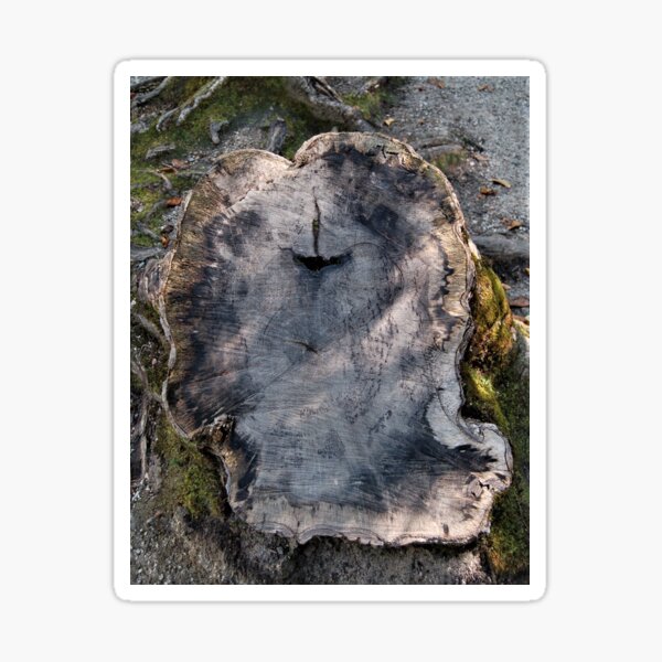 "Smiling Stump" Sticker for Sale by SusanSeamaiden | Redbubble