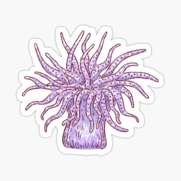 Polyp Gifts & Merchandise for Sale | Redbubble