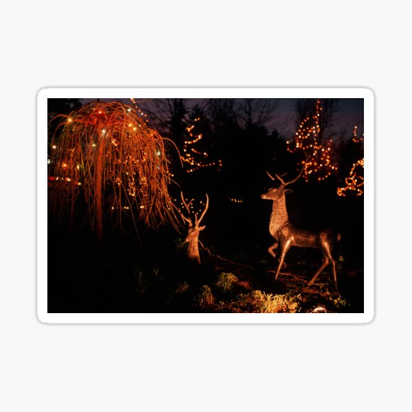 "Festival of Lights : Christmas lights" Sticker for Sale by FOVCA ...