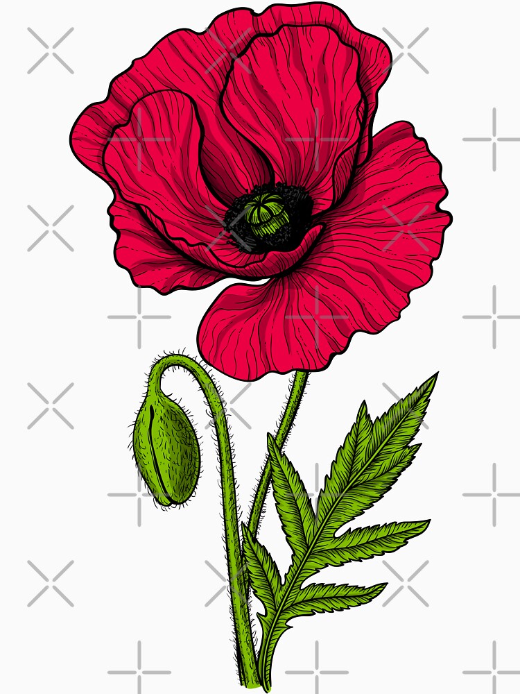 "Red poppy drawing" T-shirt for Sale by katerinamk | Redbubble | poppy ...