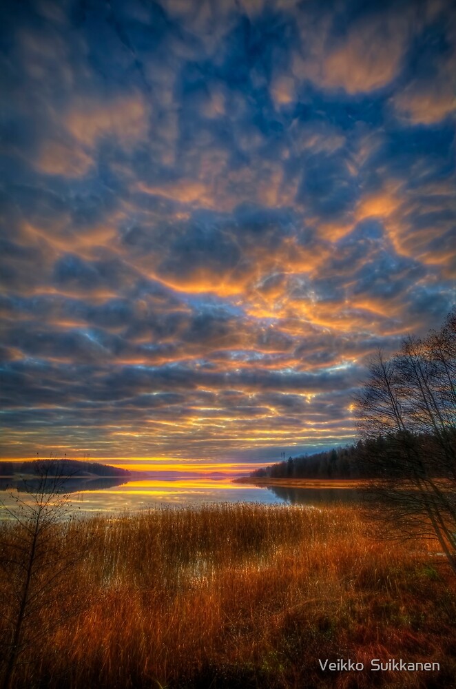 "November Evening" by Veikko Suikkanen | Redbubble