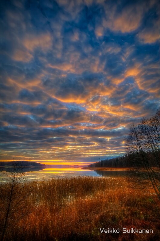 "November Evening" by Veikko Suikkanen | Redbubble