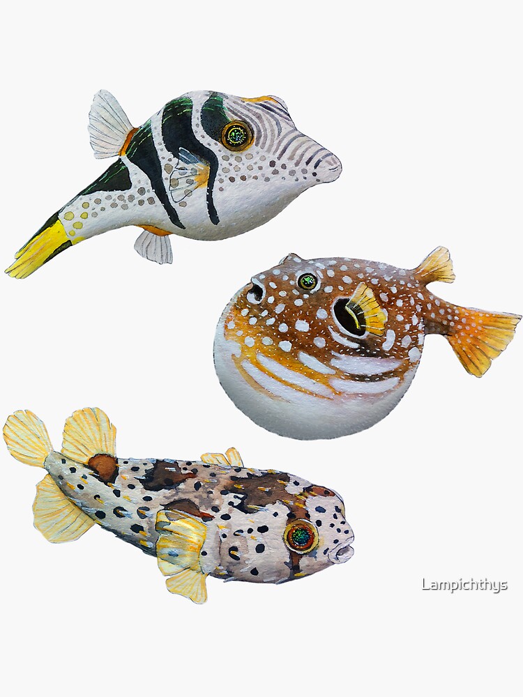 "Puffer Party" Sticker for Sale by Lampichthys | Redbubble