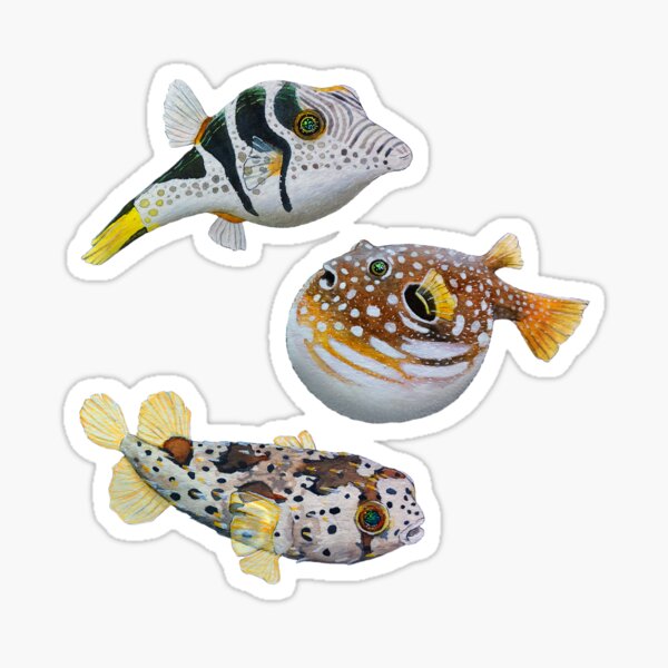 "Puffer Party" Sticker for Sale by Lampichthys | Redbubble