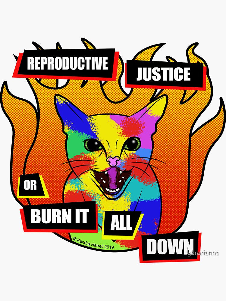 "Reproductive Justice Cat" Sticker for Sale by Lybrarianne | Redbubble