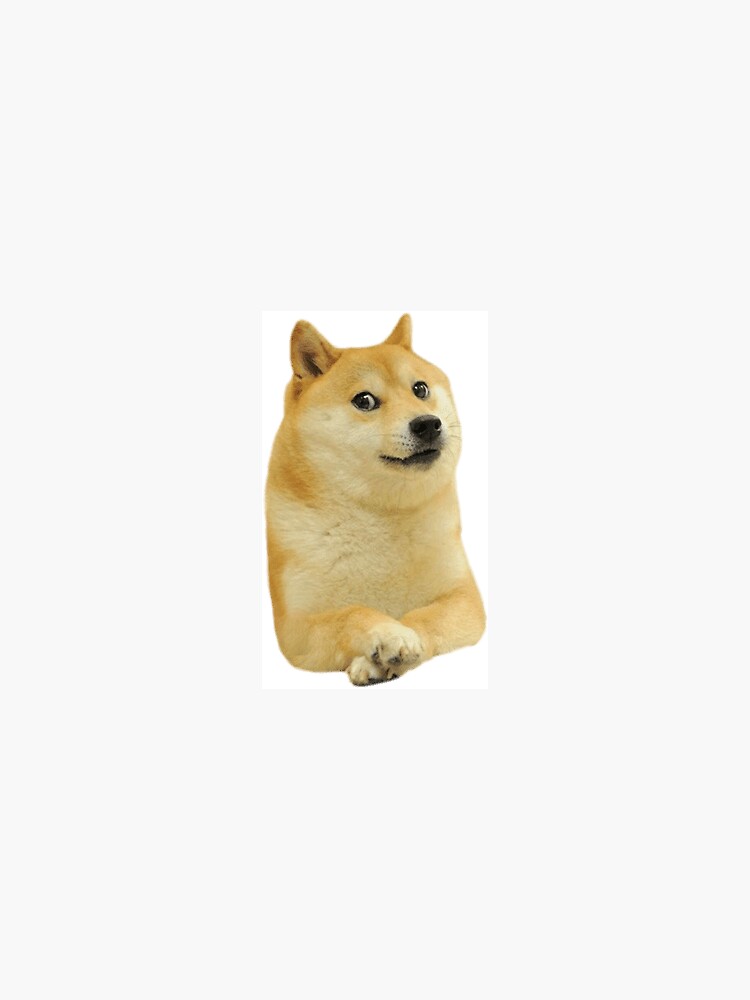 Whole Body Doge Meme