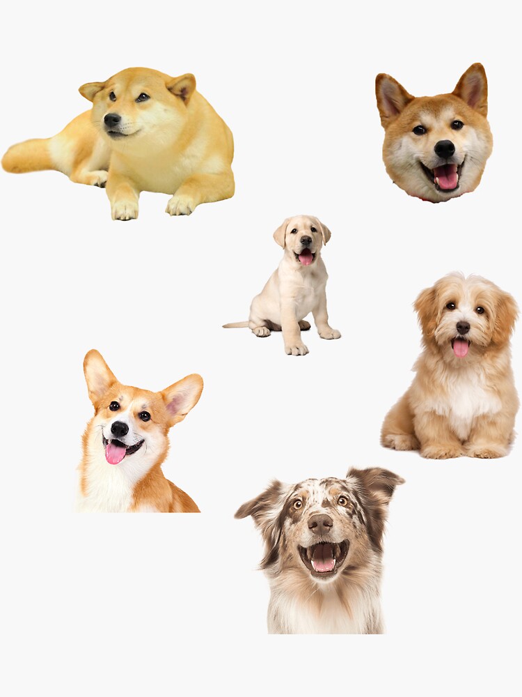 "Doggo Sticker Pack!" Sticker for Sale by Blake416 | Redbubble