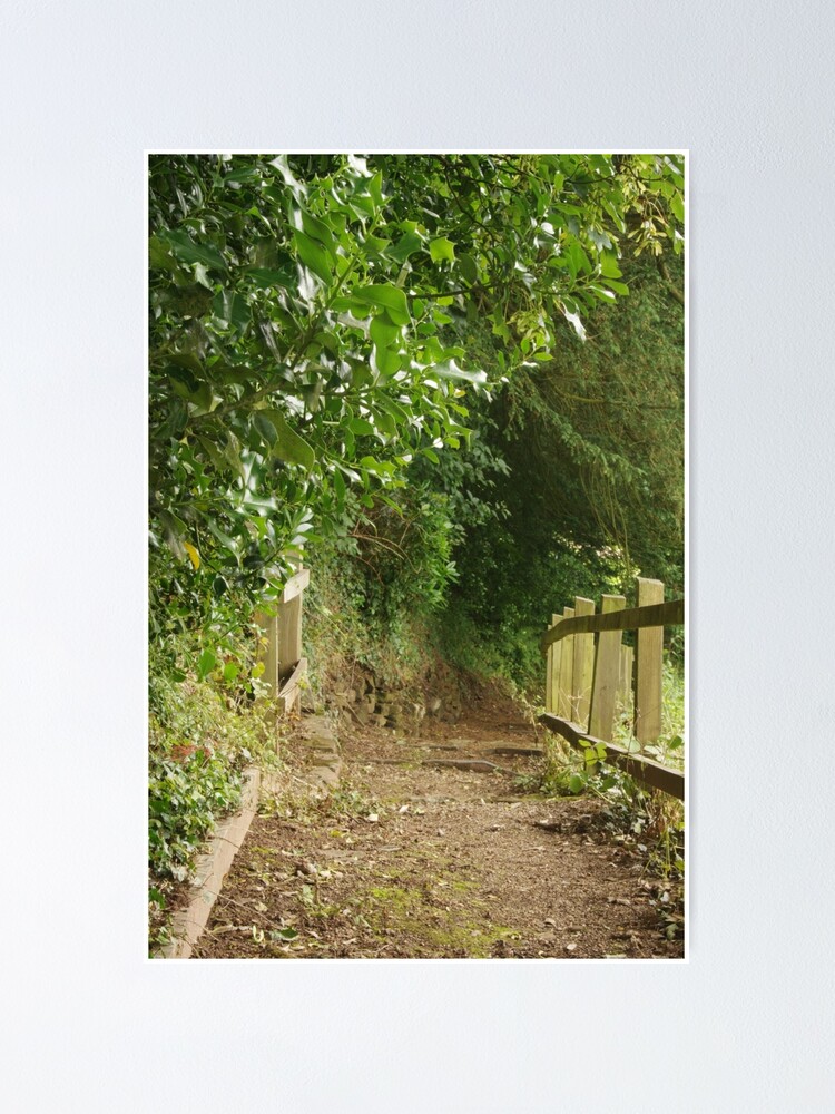 "Footpath" Poster for Sale by Colin-Bentham | Redbubble