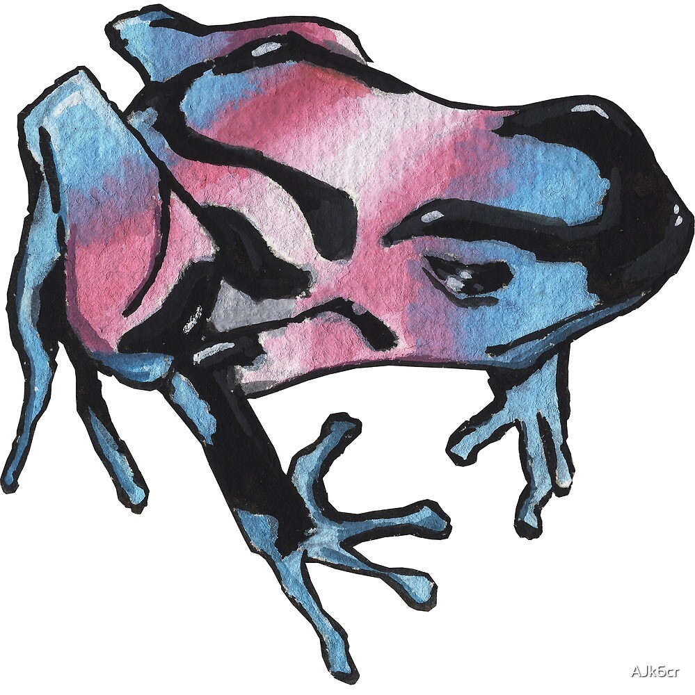 "Frog in Trans Flag Colours" by Amy-Jo Randalls | Redbubble