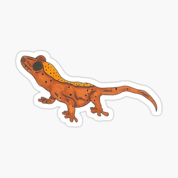 "crested gecko" Sticker by Splazhink | Redbubble