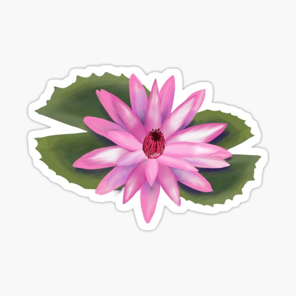 "Water Lily" Sticker for Sale by TimmyGumnut | Redbubble