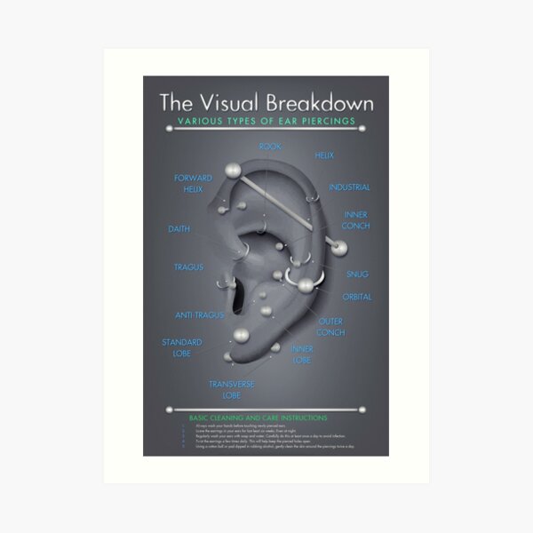 "Ear Piercing Infographic Chart" Art Print for Sale by Jarrod44 | Redbubble