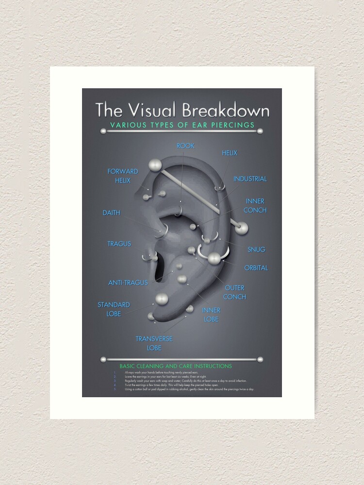"Ear Piercing Infographic Chart" Art Print for Sale by Jarrod44 | Redbubble