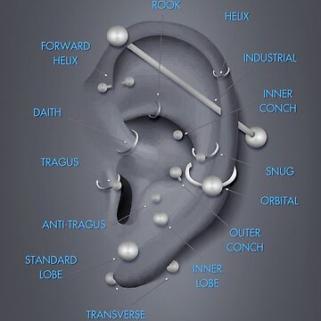 "Ear Piercing Infographic Chart" Poster for Sale by Jarrod Vandenberg ...