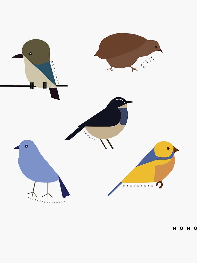 "New Zealand Native Birds " Sticker by Heymomo | Redbubble