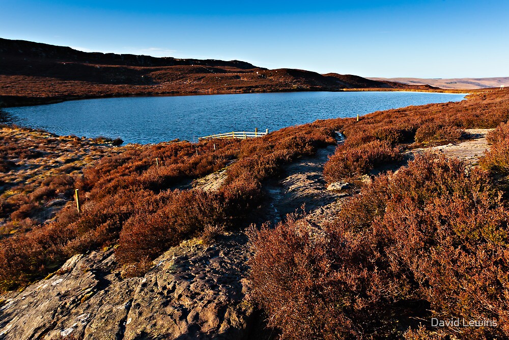 "Harbottle, Coquetdale. Northumberland National Park. UK " by David ...