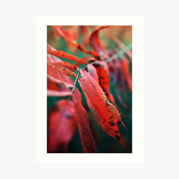October Rust Art Prints | Redbubble