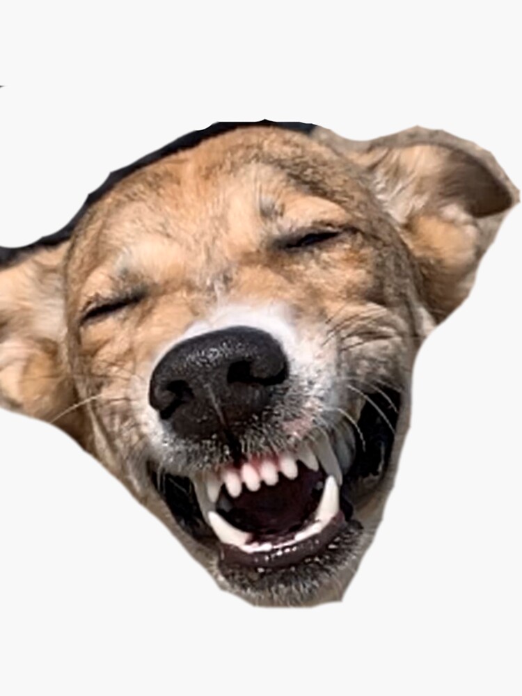 "Suna" Sticker by danadiva | Redbubble